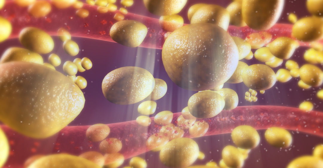 Estrutura e Funções do Tecido Adiposo - Esteticista Como Você